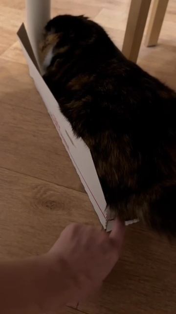 Весёлый паровозик