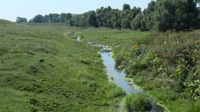 Туган авылым Урмай