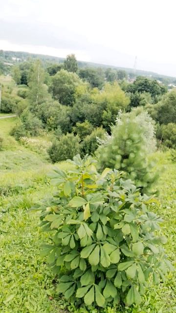 НАРО-ФОМИНСК