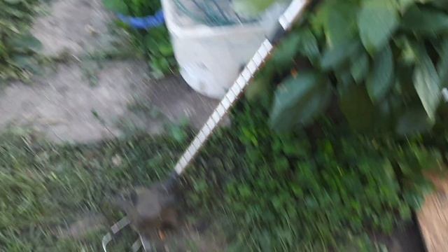 Не хотела снимать🤔//выкопали лук//убрала цветную капусту//