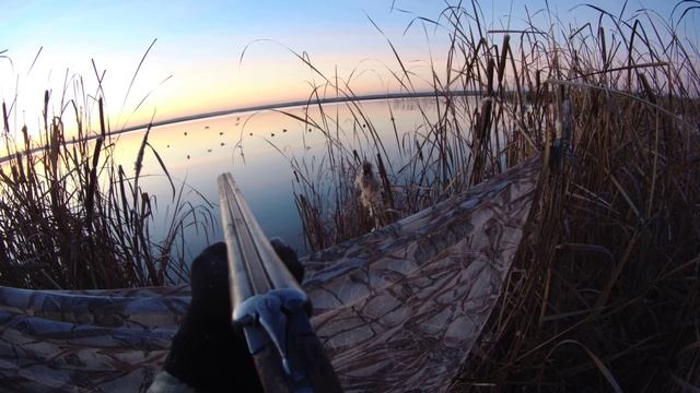 Охота на северную утку. Охота с чучелами. Тюмень. Осень 2024