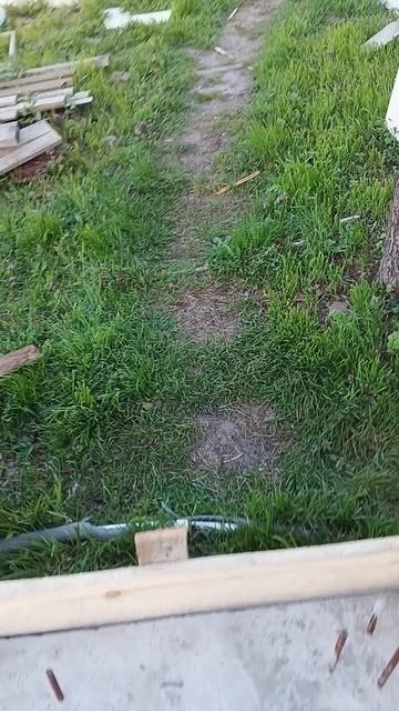 опалубка плиты перекрытия 17,04,25