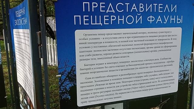 Музей-заповедник Дивногорье (входная группа) 26-07-2025