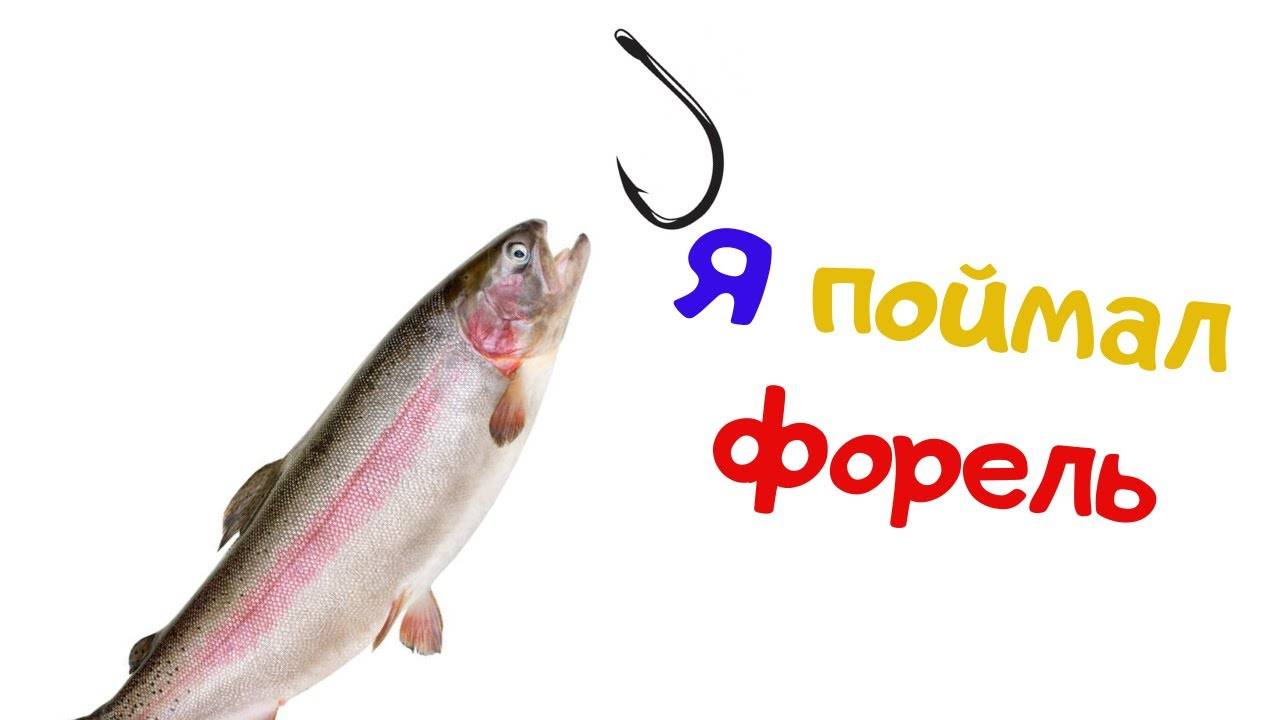 Как поймать форель