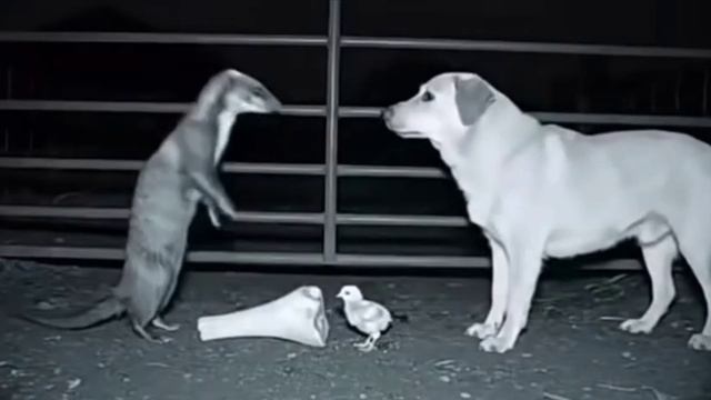 Сделка века