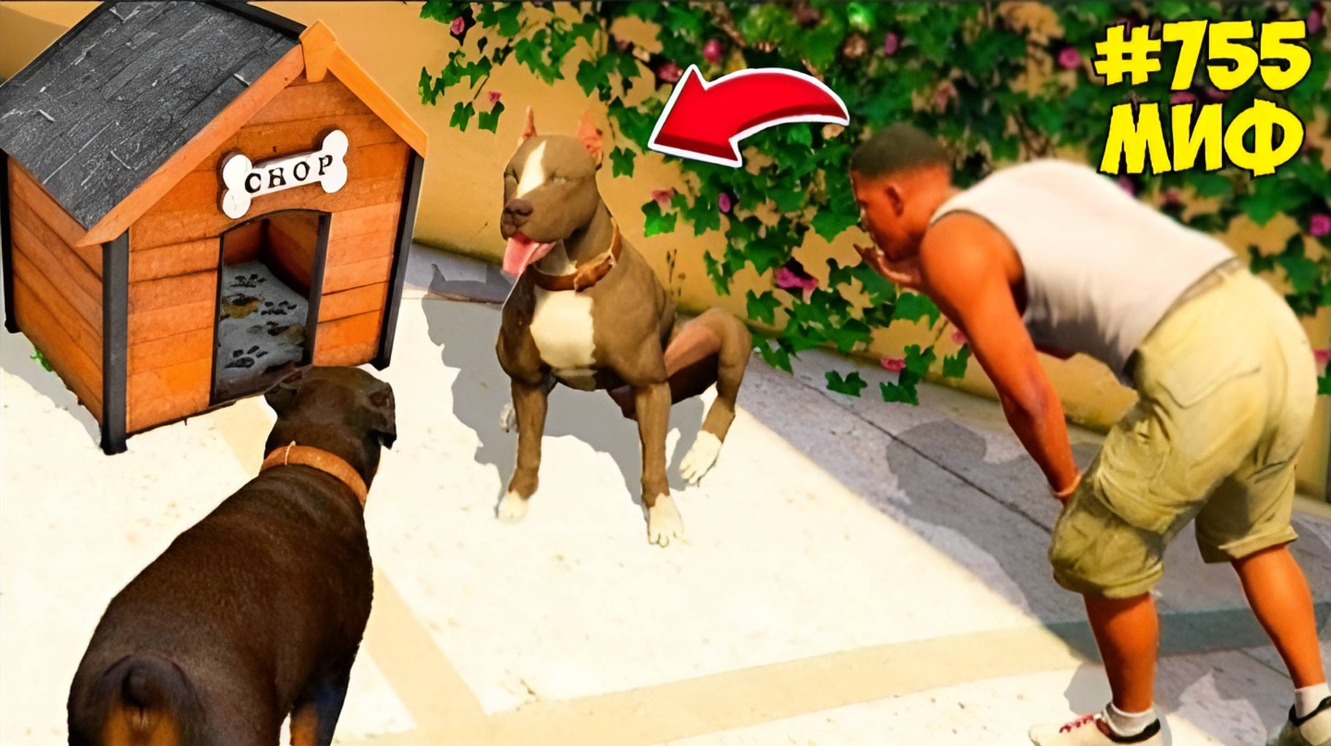 ПРОВЕРИЛ САМЫЕ БЕЗУМНЫЕ МИФЫ ЗА ЖИВОТНЫХ в ГТА 5 МОДЫ! ПРОВЕРКА МИФОВ в GTA 5 ONLINE