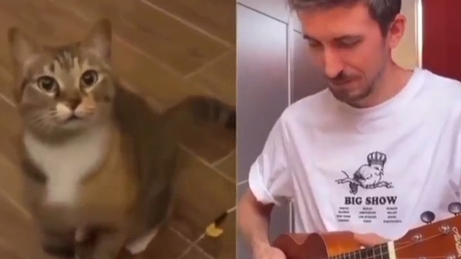 ПЕСНЯ ВЛЮБЛËННО-ГОЛОДНОГО ВАСИ