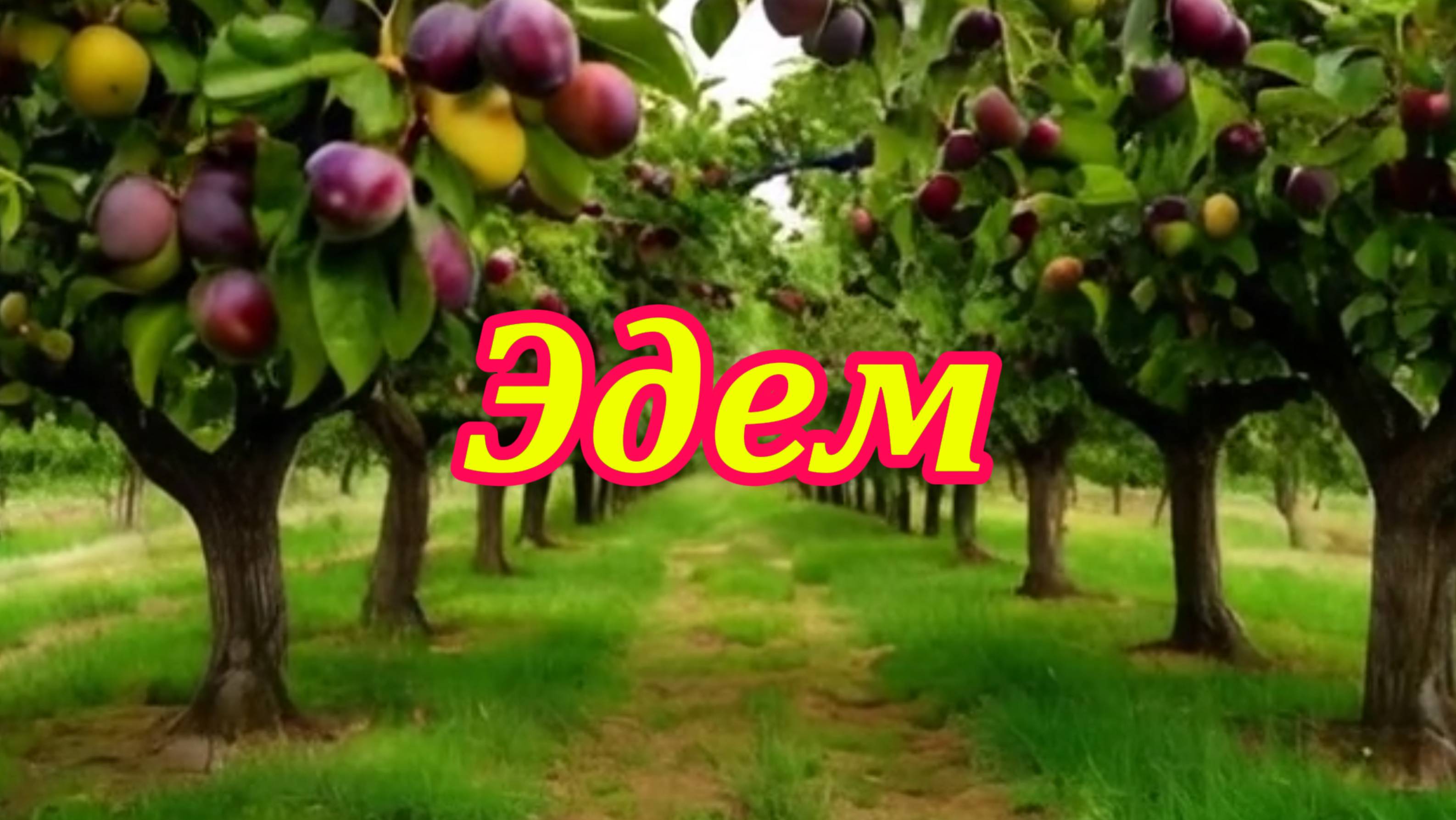 Эдем. Музыкальный клип.