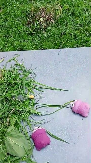 пушистики 1 серия