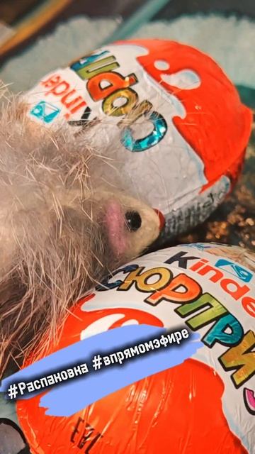 #Распаковка #киндеряйцо #лайф #лайфстайл #стрим #впрямомэфире