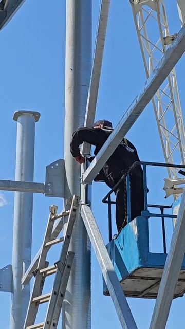 Как идет подготовка ко Дню Сибирского поля? Полным ходом!