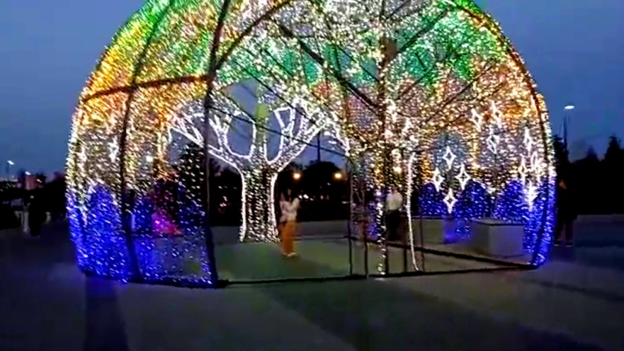 Парк Арена. Новосибирск. Новосибирск сегодня