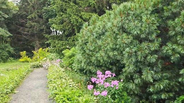 Южно-Сахалинск, парк  07-2025