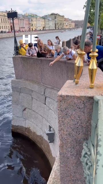 Чижик-Пыжик на Фонтанке