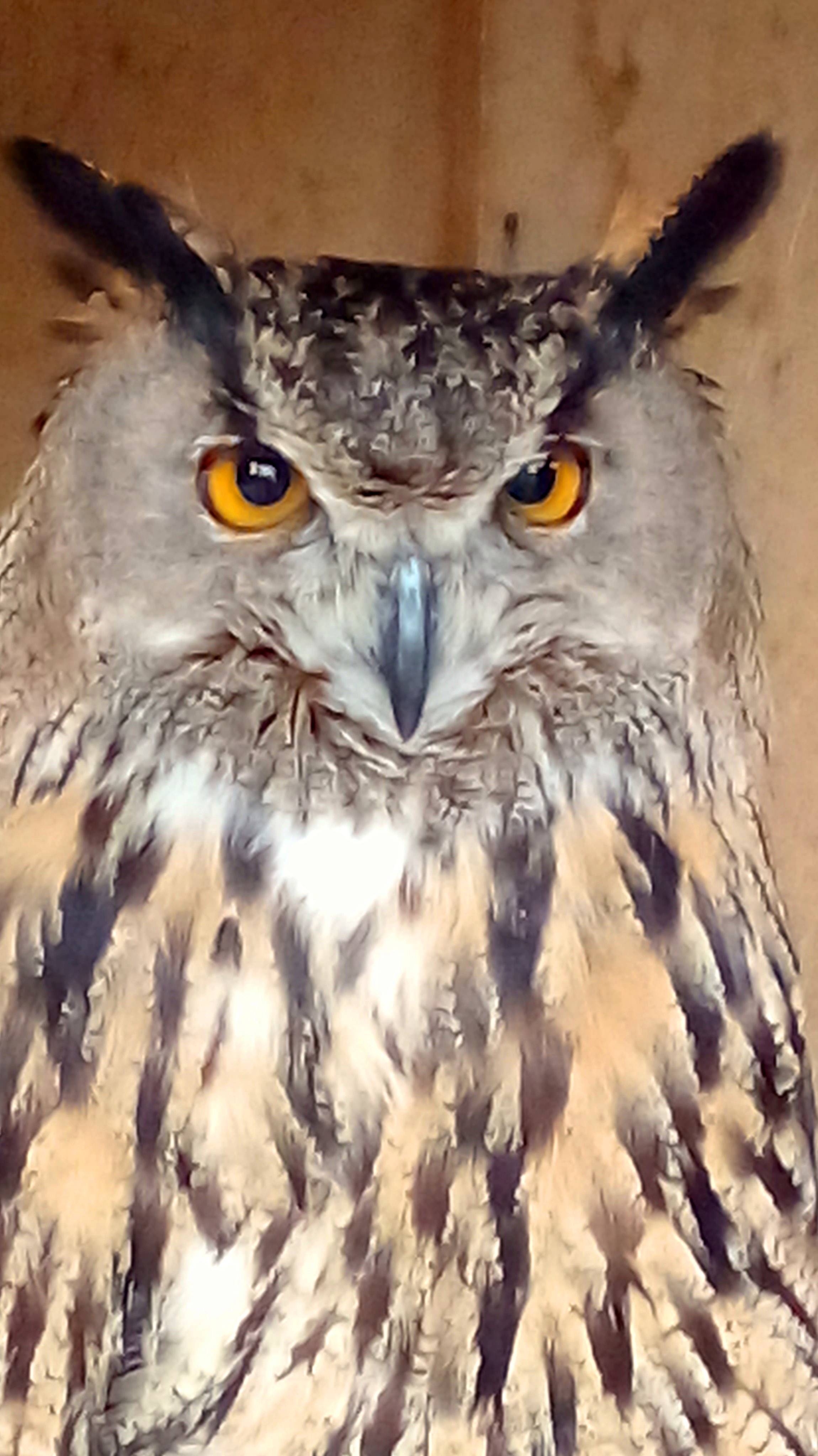 Пристально на меня смотрит