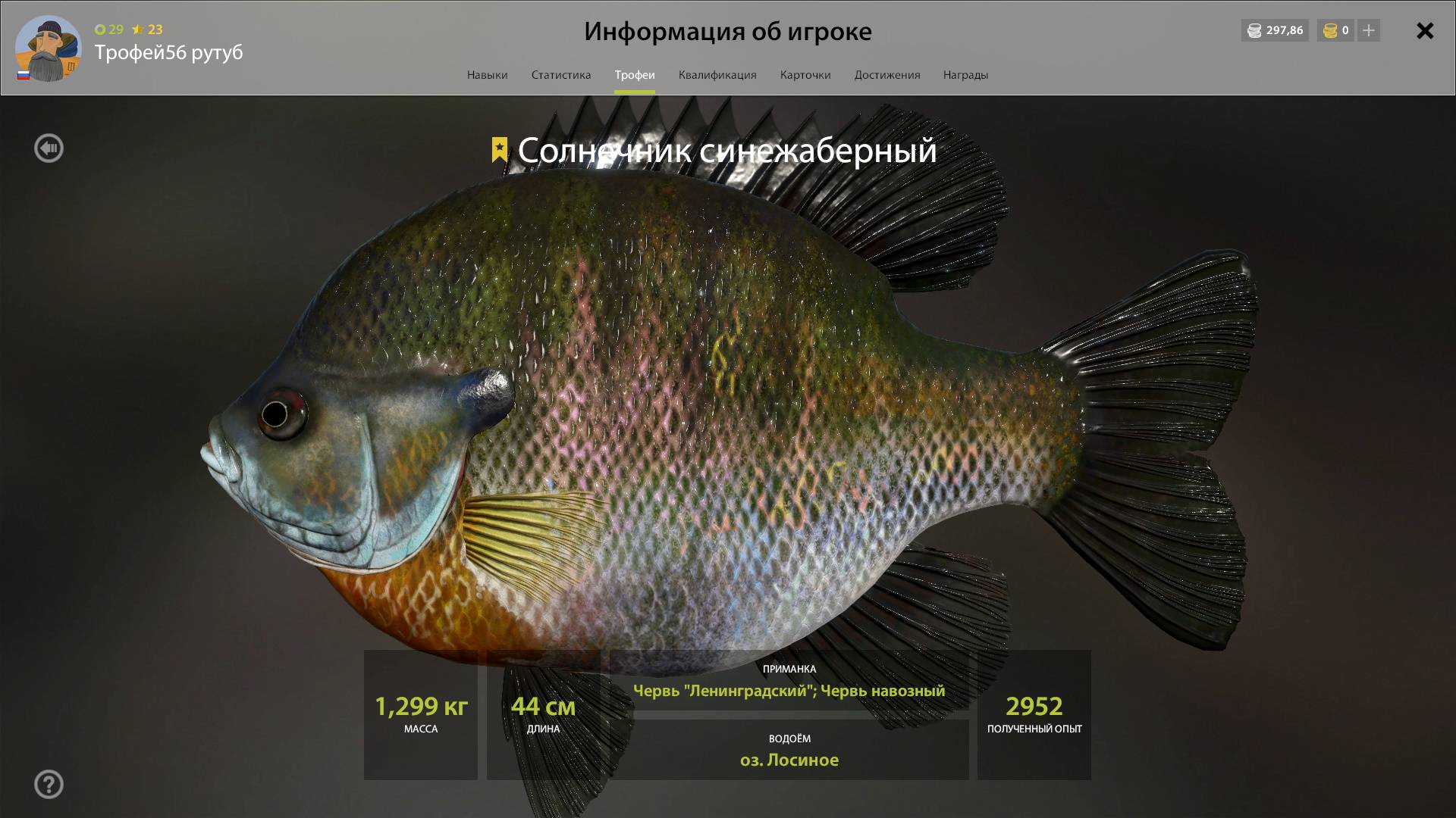 ТРОФЕЙ СОЛНЕЧНИК СИНЕЖАБЕРНЫЙ!!!ЛОСИНОЕ ОЗЕРО - РУССКАЯ РЫБАЛКА 4