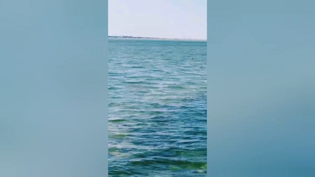 ГЕНИЧЕСК:ГОРОДСКОЙ ПЛЯЖ СЕГОДНЯ