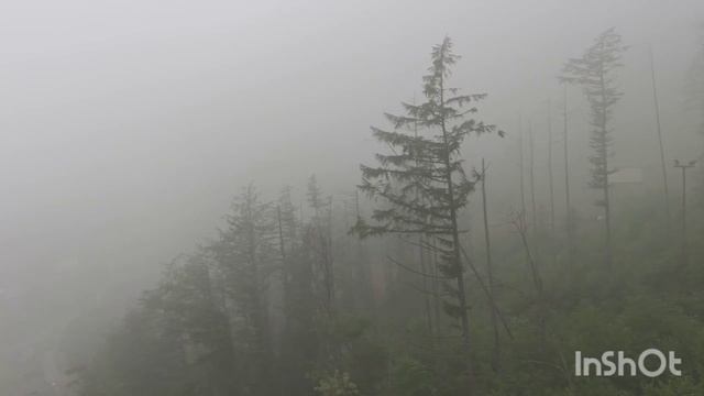 Горный воздух, Сахалин, горловое пение