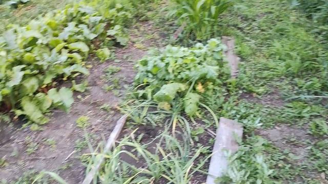 Крайние изменения 28.07.25 год