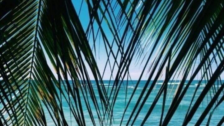 АВГУСТ--ЛЕВ(таро)