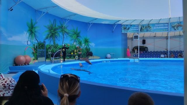 Дельфинарий_03