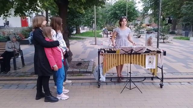 слушаем вибрафон на Курортном проспекте