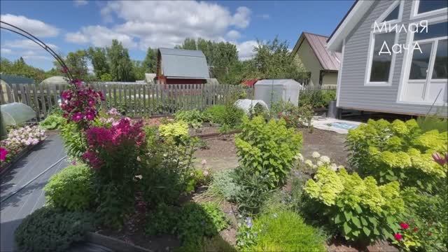 Дачный влог 19-20 июля