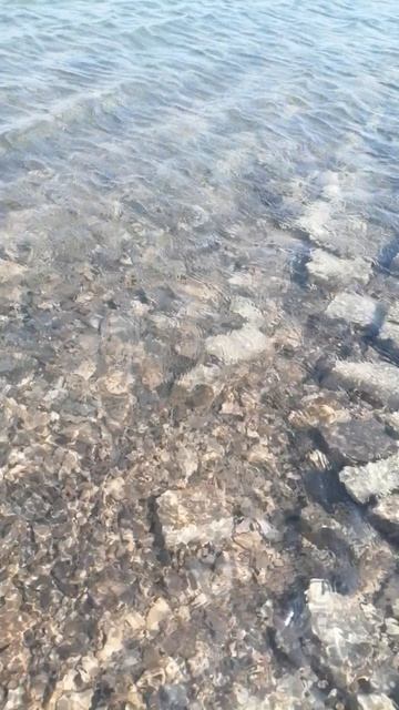 Чистейшая вода Большого Сулакского водохранилища