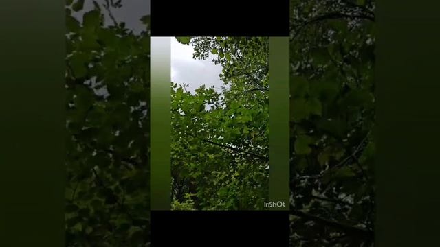 Подхвати мантру благодарности