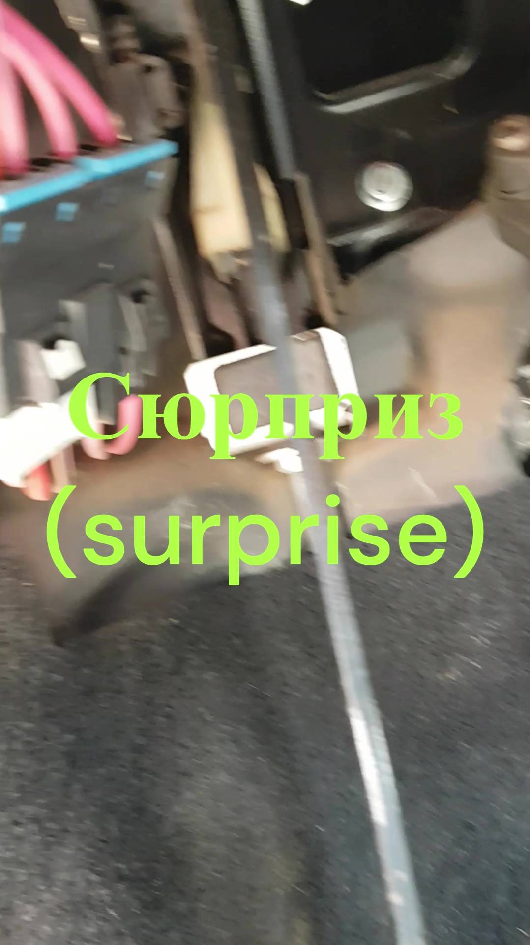 Грантуля.
Сюрприз