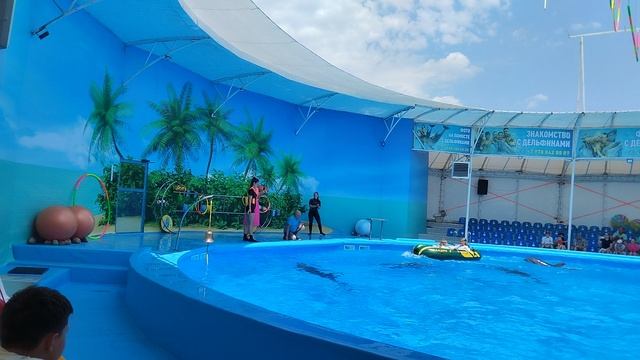 Дельфинарий_12