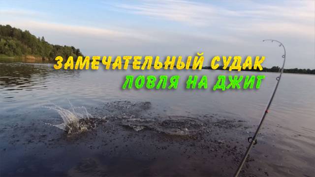 Замечательный судак. Ловля на джиг