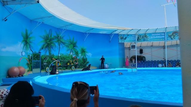 Дельфинарий_05