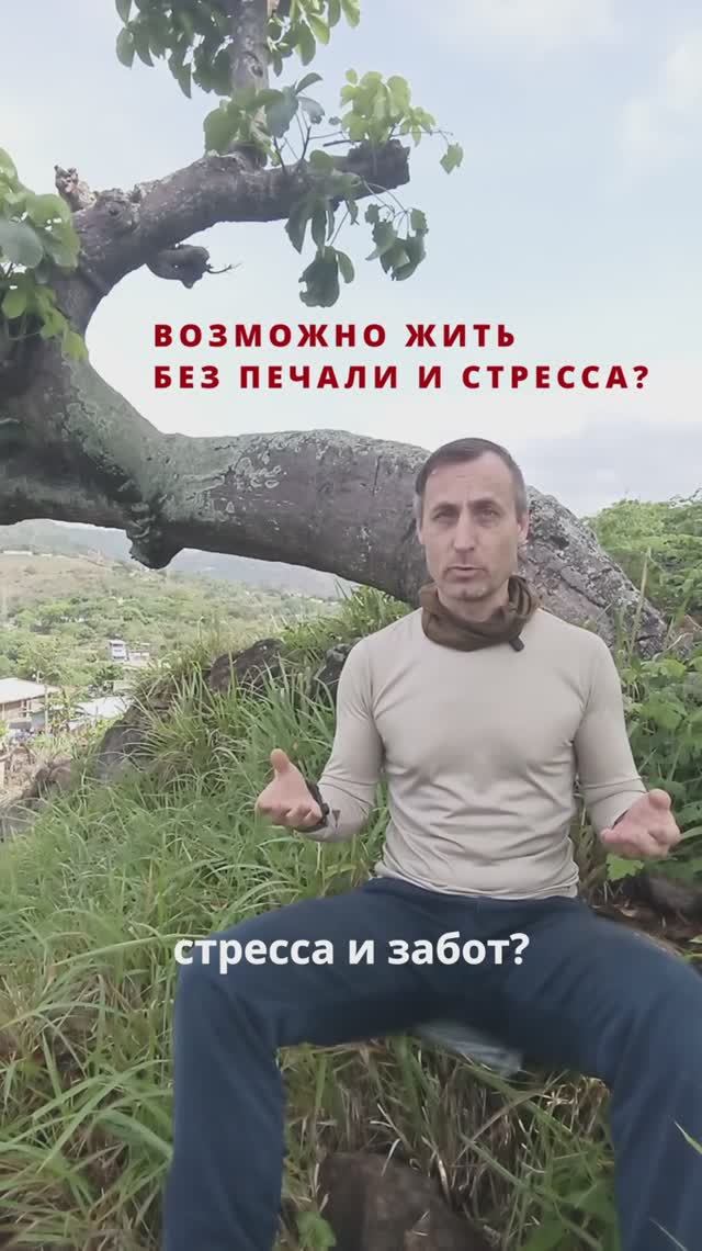 Спокойствие под Стрессом?