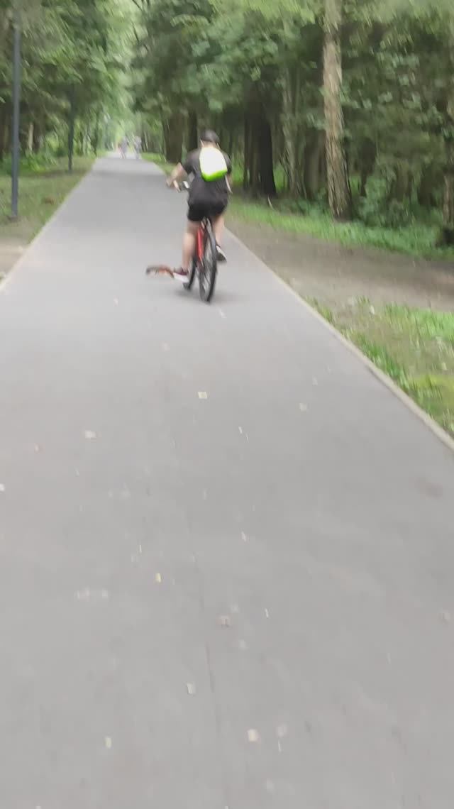 Что за дичь в подмосковном парке | Парк Авангард в Электростали