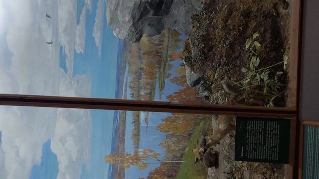 Музей Ильменского заповедника 3-3