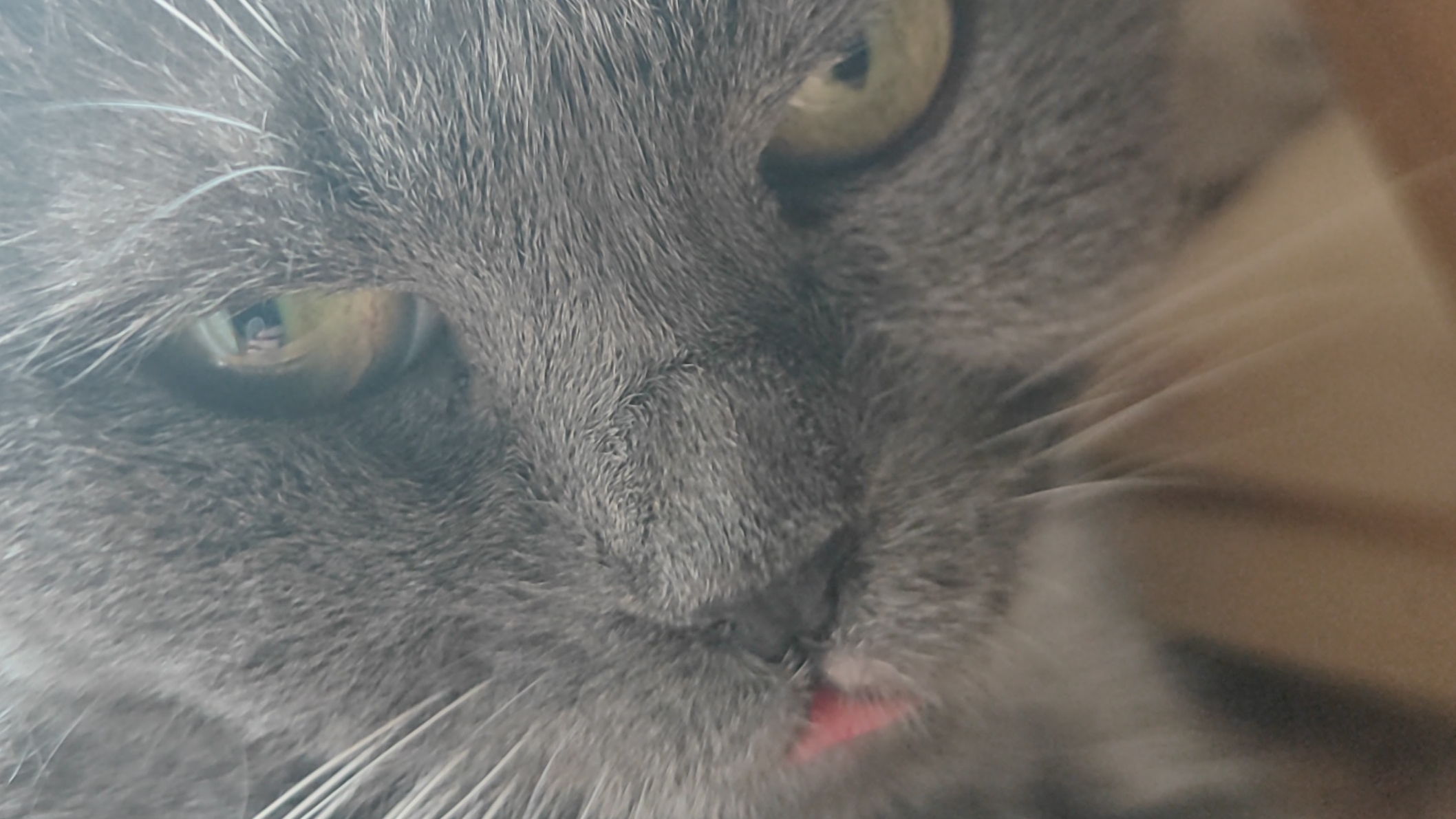 пов: оса залетела в класс