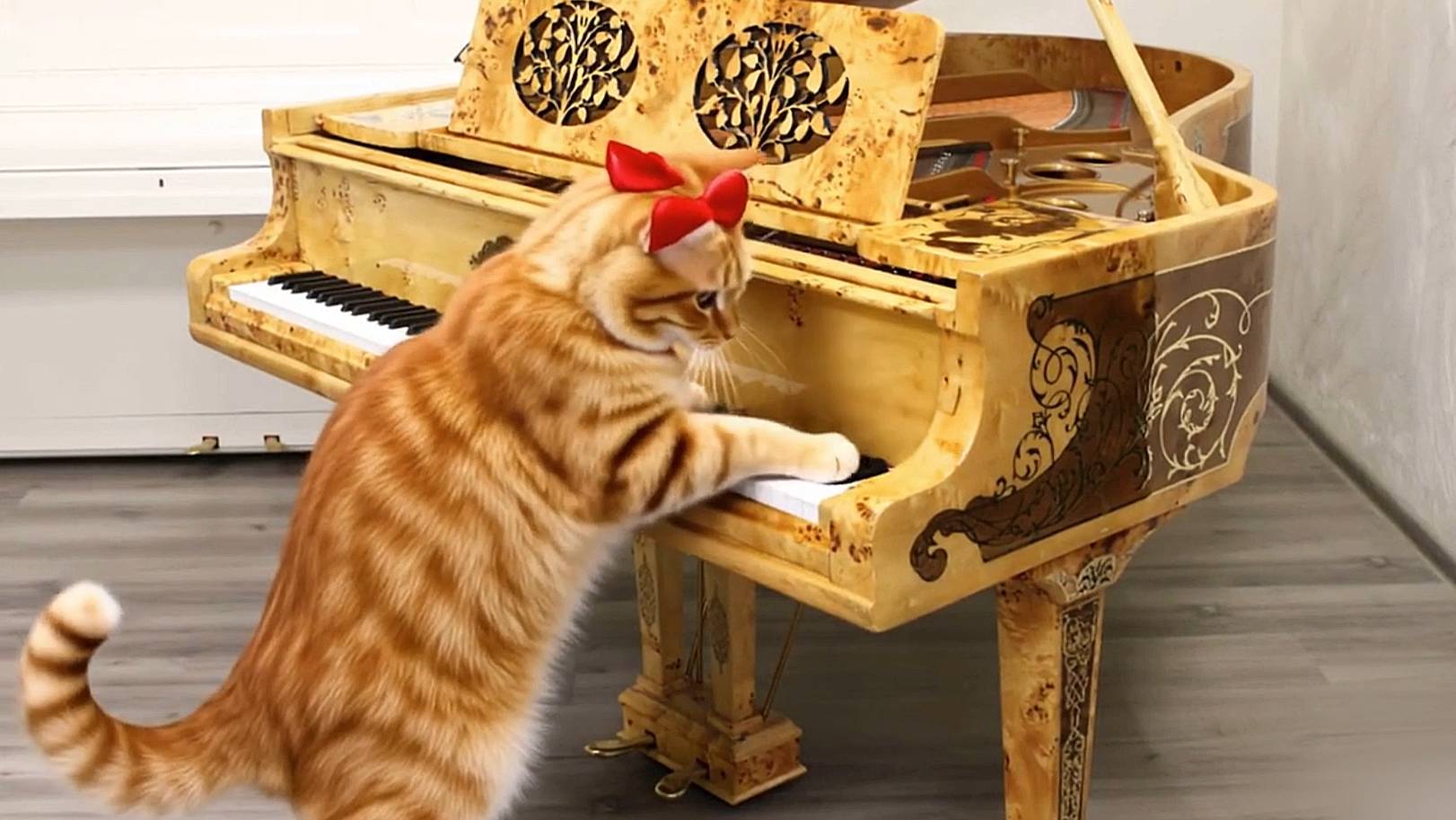 Золотой рояль Steinway & Sons «Принцесса Грёза». Турецкий марш Моцарта исполняет кот Леопольд