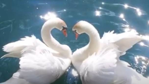 Амандық Құрманбаев. Есіңе ал. Помни меня. Подпишитесь на канал.