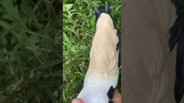 9 часть сериала «Секрет новекого»🐎🐎🐎🧐🤨💕