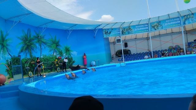 Дельфинарий_11