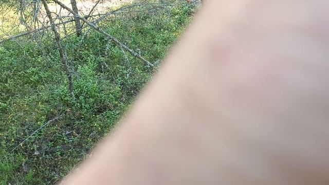 [Tropo] 90.3  v  HitMix  (Helsinki/Länsi-Pasila)(Finland)(Uusimaa)~300km  254°  0.5 kW(ERP)