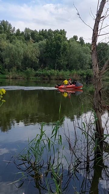 рыбошугатели🫥