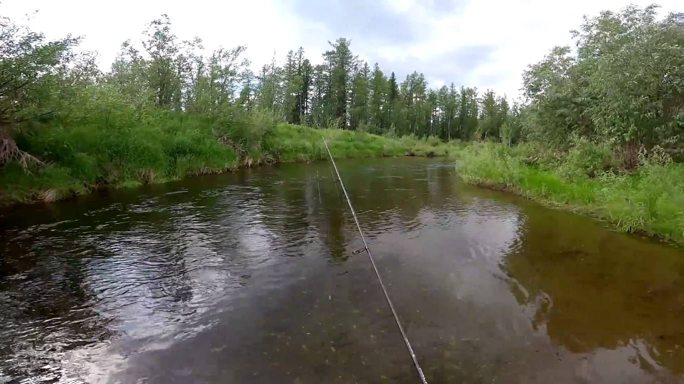 И вновь классная рыбалка! Река Северная и её притоки. Часть первая. #экстрим, #рыбалка