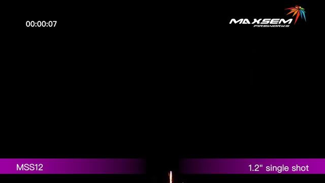 MSS12	 SILVER GLITTERING TAIL  1,2"