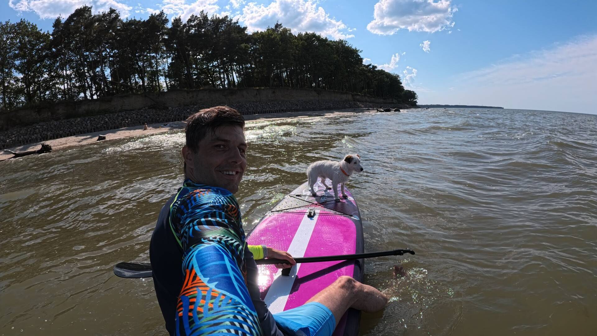 Невероятно, но факт: как Джек-рассел стал королём морских волн