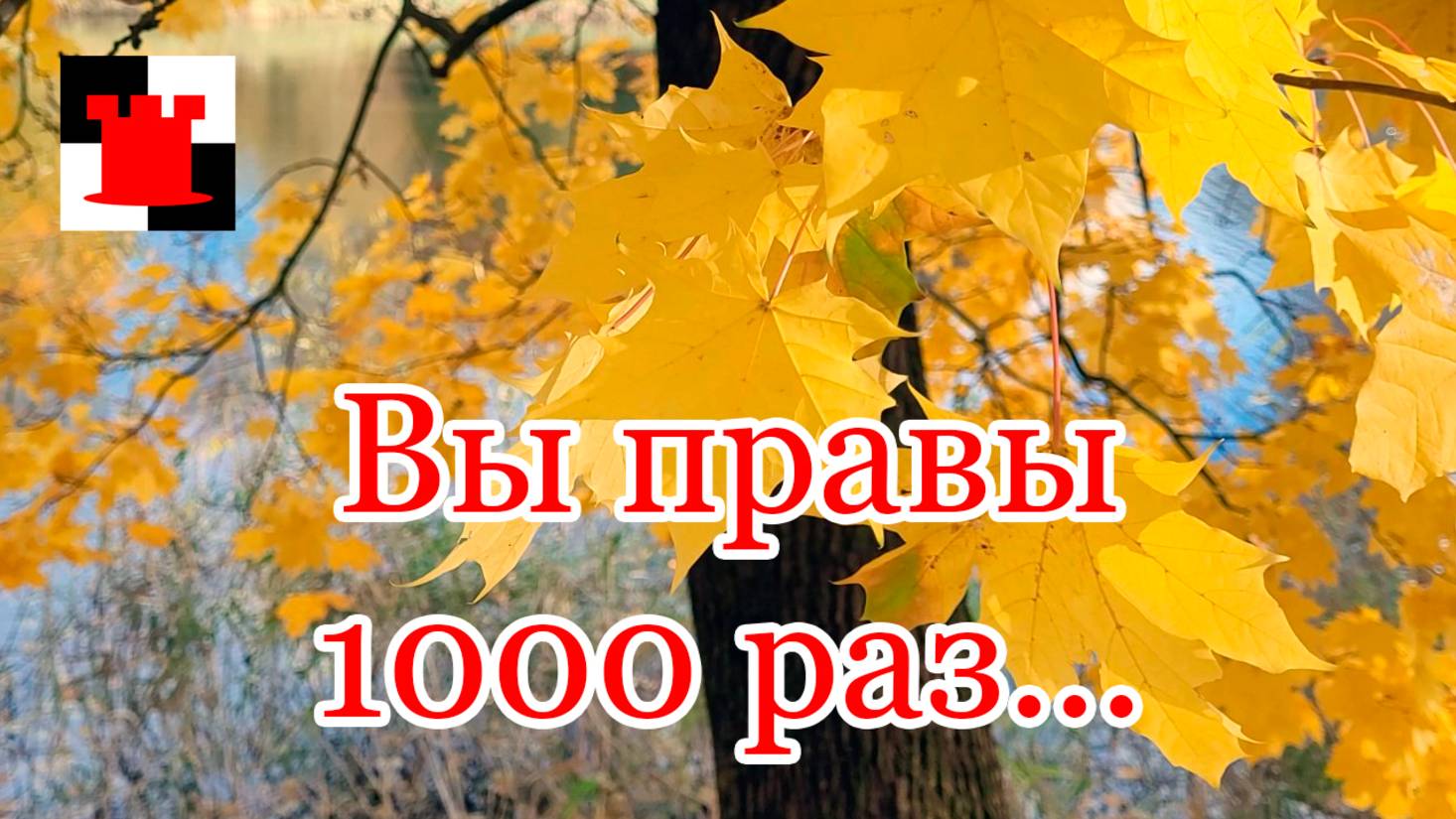 Вы правы 1000 раз...