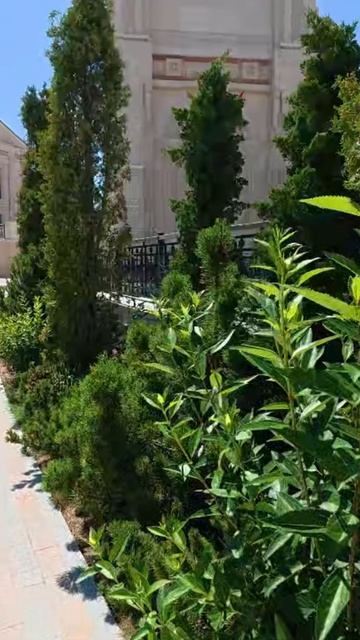 VPS-Студия визуальных продуктов