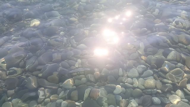 Дагомыс. Сегодня. Большой Сочи. Погода, что творится на пляже