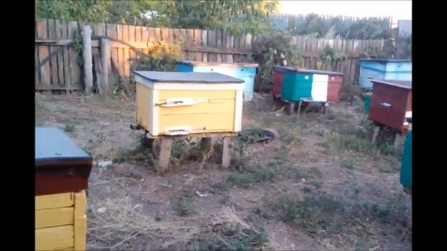 КАК ЖЕ ЖИТЬ В ДЕРЕВНЕ // ЧТО С ПРЯЖЕЙ//СКУЧАЮ, ВСПОМИНАЮ